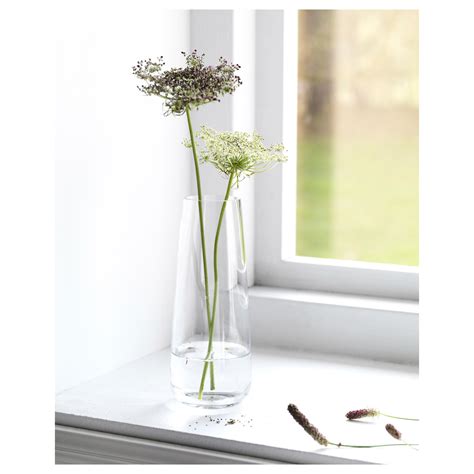 BerÄkna Vase Clear Glass Height 6 Ikea