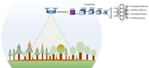 remote sensing mdpi on linkedin latestpaper deeplearning uav forest