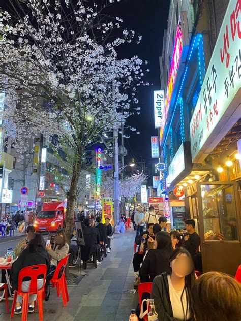 종로을지로 벚꽃 바로 아래에서 야장 하기 딱 좋은 ‘그때 그집 종로역 5번 출구메인포차거리 네이버 블로그