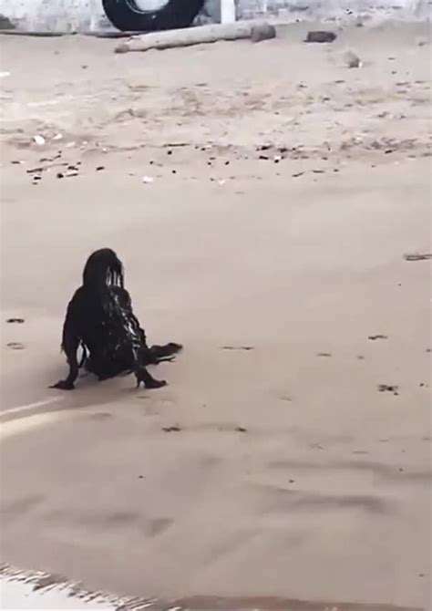 The Thing Album On Imgur The Thing Album On Imgur