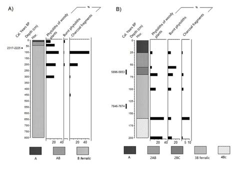 Distribution Between Woody Plant Phytoliths Burned Phytoliths And