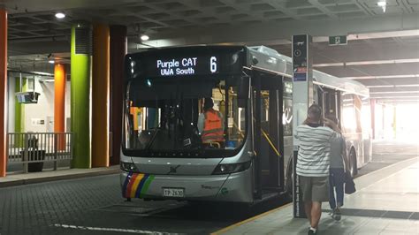 New Long Cat Transperth Bus Purple Cat Route No Tp Elizabeth Quay Bus Station Uwa