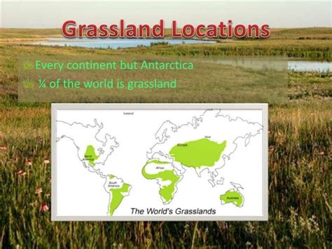 Grassland Pptx Geography Science