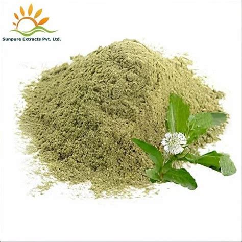 Cissus Quadrangularis Extract Packaging Size 25 Kg At Rs 950 Kg In