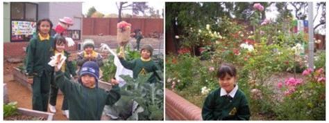 Berkebun Di Belahan Bumi Berbeda Menebar Semangat Berkebun