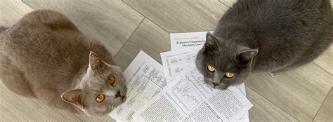 Risks Of Using Third Party Libraries In Ios Apps By Kristiina Rahkema