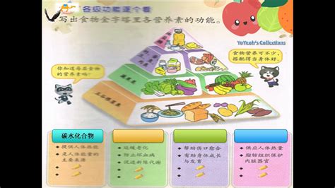 Pk Tahun 4 Unit 10四年级体健单元10各级功能逐个看101页） Youtube