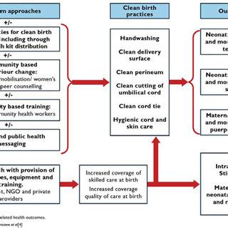 Conceptual Framework Of Potential Role Of Implementation Mechanisms Download Scientific