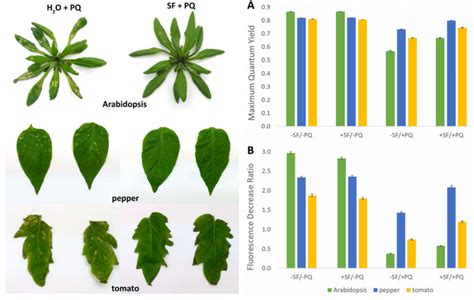 生物刺激素的效能评估与机理研究 知乎