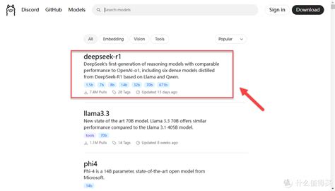 手把手教你在 Nas 上部署本地 Deepseek R1 大语言模型 服务软件 什么值得买
