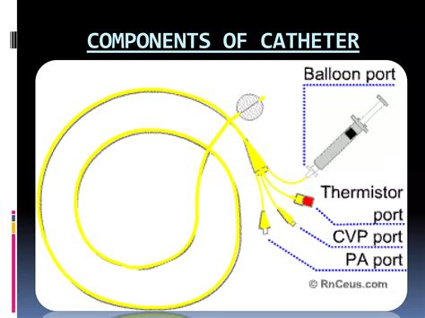 Hemodynamic Monitoring Ppt Pptx