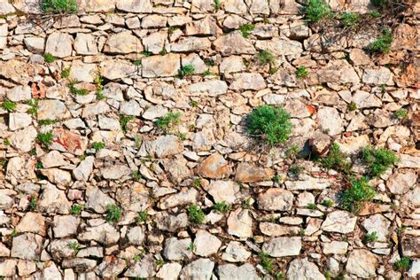 Background Of Stone Wall With Grass Stock Image Image Of Stone Wall