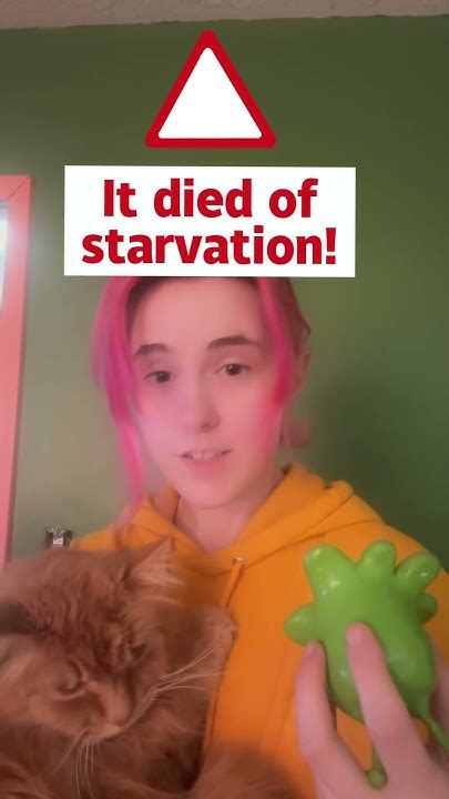 Assignment 4 Frame And Boundary Youtube