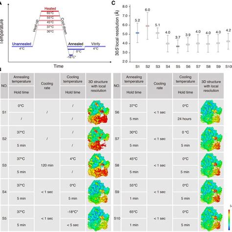 Systematic Screening On Annealing Conditions A Schematic For Download Scientific Diagram