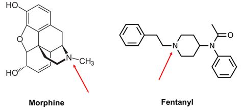 Chemical Makeup Of Morphine Mugeek Vidalondon