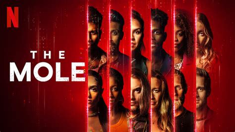 Qué Ver En Netflix Las 10 Series Más Vistas En La última Semana En