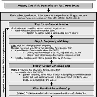 Workflow Of The Testing Protocols Performed In Experiment 1 Download Scientific Diagram