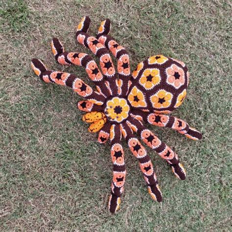 Tarantula Kat Feet