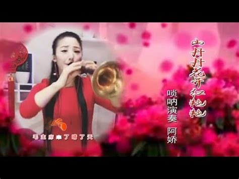 陕北民歌山丹丹花开红艳艳唢呐吹出了黄土地的淳厚质朴 YouTube