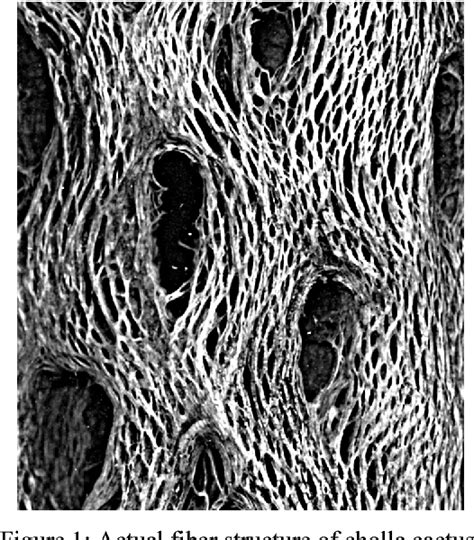 Figure 1 From A Comparison Of Methods For Using Genetic Algorithms To