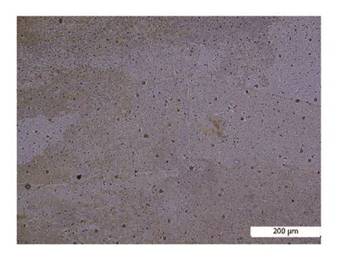 The He Dye And Bmp 2 Vegf Tgf β And Alp Immunohistochemical Stain