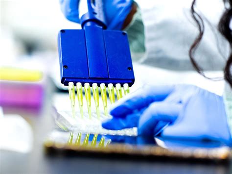 Bioengineering Bioe Business Berkeley M E T