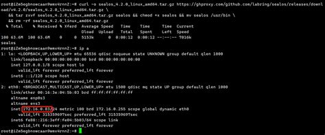 一次Sealos Cloud 部署的记录 CSDN博客