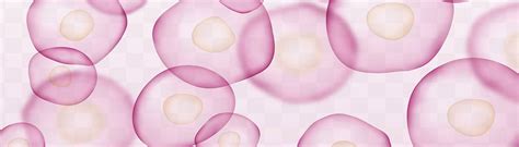 Flow Cytometry And Cell Sorting Comparison Biocompare The Buyers