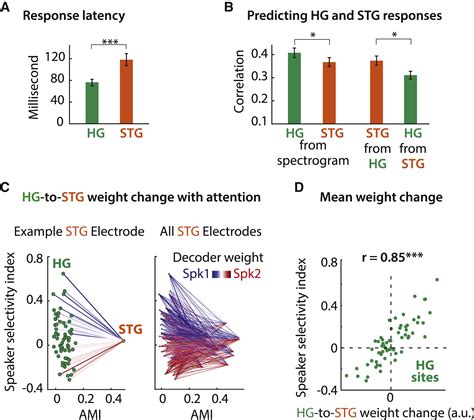 Hierarchical Encoding Of Attended Auditory Objects In Multi Talker Speech Perception Neuron