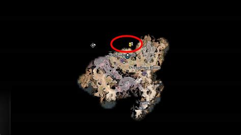 Baldur S Gate 3 How To Find And Free Lae Zel BG3 Prima 57 OFF