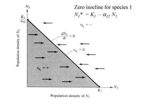 Lecture 20 November 2018 Direct Versus Indirect Interactions Ppt