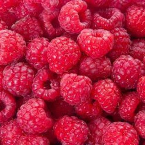 Raspberry — Fair Trade Fruits