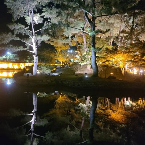 경주 야경투어 [경북 경주] 해설사와 함께하는 경주 야경 첨성대 월정교 동궁과월지 투어 마이리얼트립