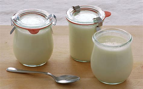 Comment Pasteuriser Le Lait Sous Vide Cooking