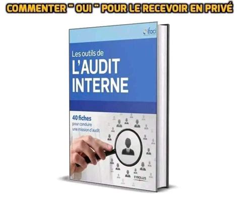 Les Outils De L Audit Interne En PDF