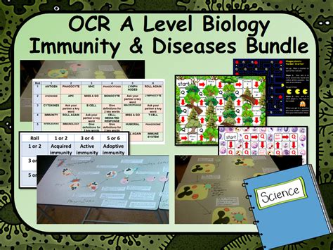 OCR A Level Biology Immunity Communicable Diseases Bundle Teaching