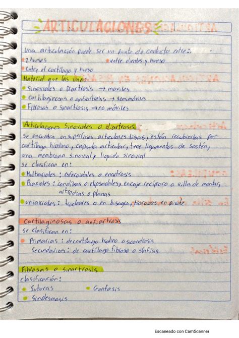 Pares Craneales Tarea De Anatomia Apuntes De Anatomía Docsity
