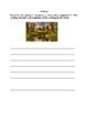 Story Elements Setting Tasks By Nada Al Karmi TPT