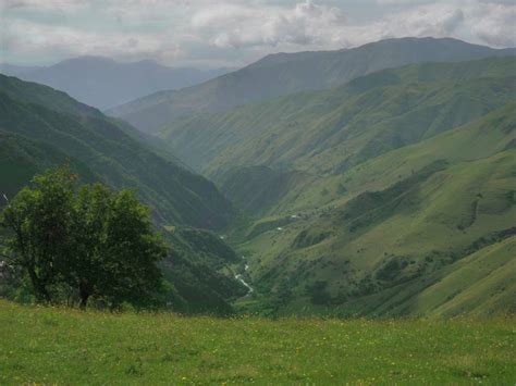 ფშავი