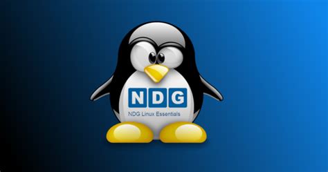 Ndg Linux Essential Module 6 Final Exam ~ Amartufo Blog