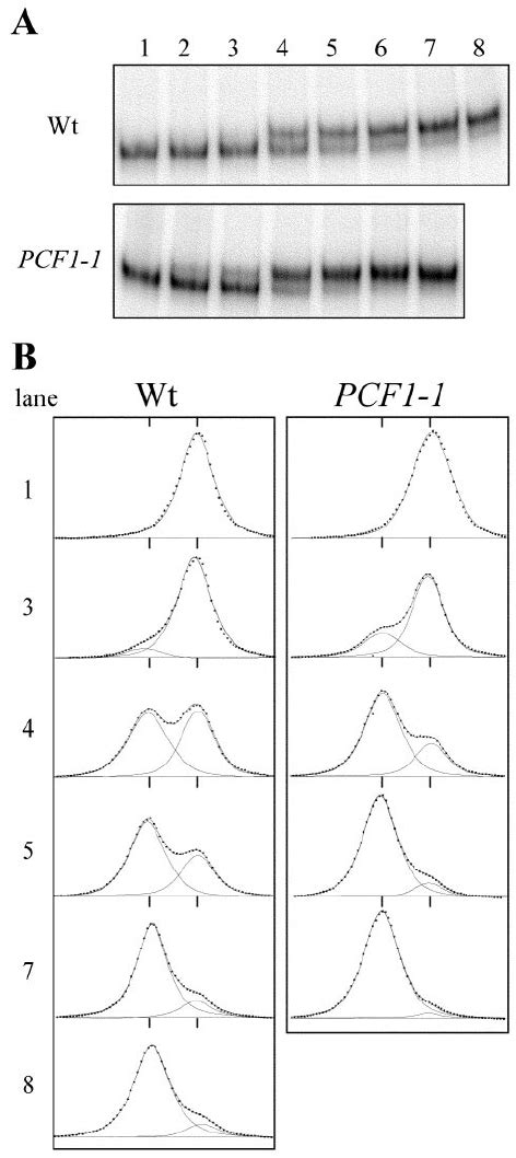 Titrations Of Brf1 On Wild Type And Pcf1 1 Tfiiic Dna Complexes A