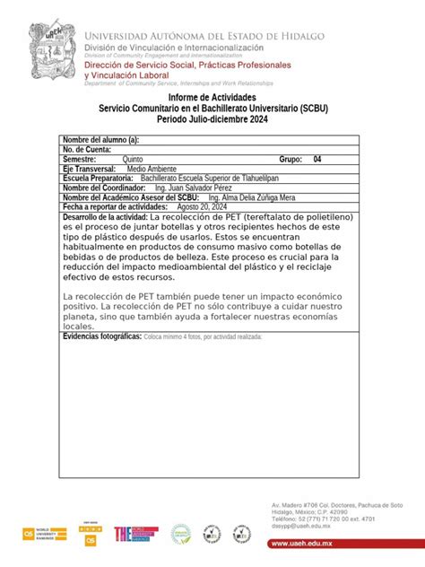 Formato Para Informe De Actividades Scbu Jul Dic2024 Pdf