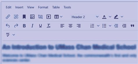 WYSIWYG Editor Explanation Of Icons
