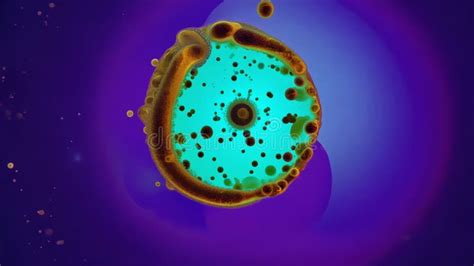 A Vibrant Abstract Of Microscopic Organisms Featuring A Mix Of Shapes And Colors Within A