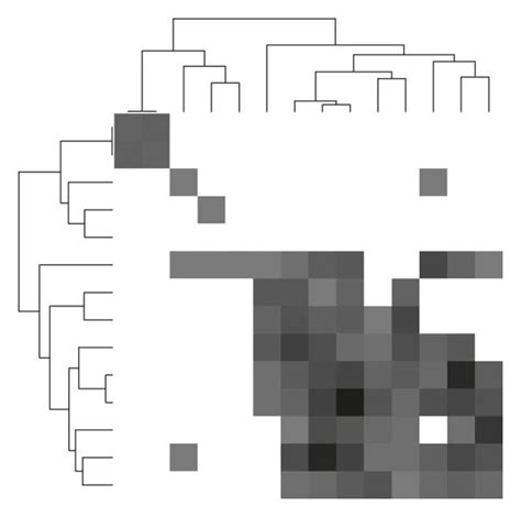 Clustered Adjacency Matrices Of Social Communication Networks From Download Scientific Diagram