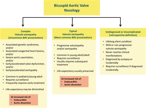 Summary International Consensus Statement On Nomenclature And
