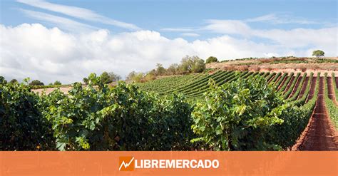El PNV avanza en su intención de secesionar los viñedos de Álava de la