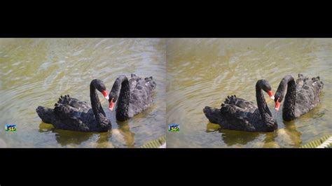 Ms3d Top 15 3d Sbs Vr Photos Side By Side Youtube