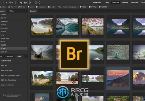Adobe Bridge Cc 2025资源管理软件v15 0版 行业软件 人人cg 人人素材 Rrcg