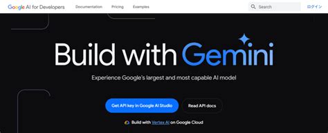 Google Aigemini Pro Business Hackrpaaidx
